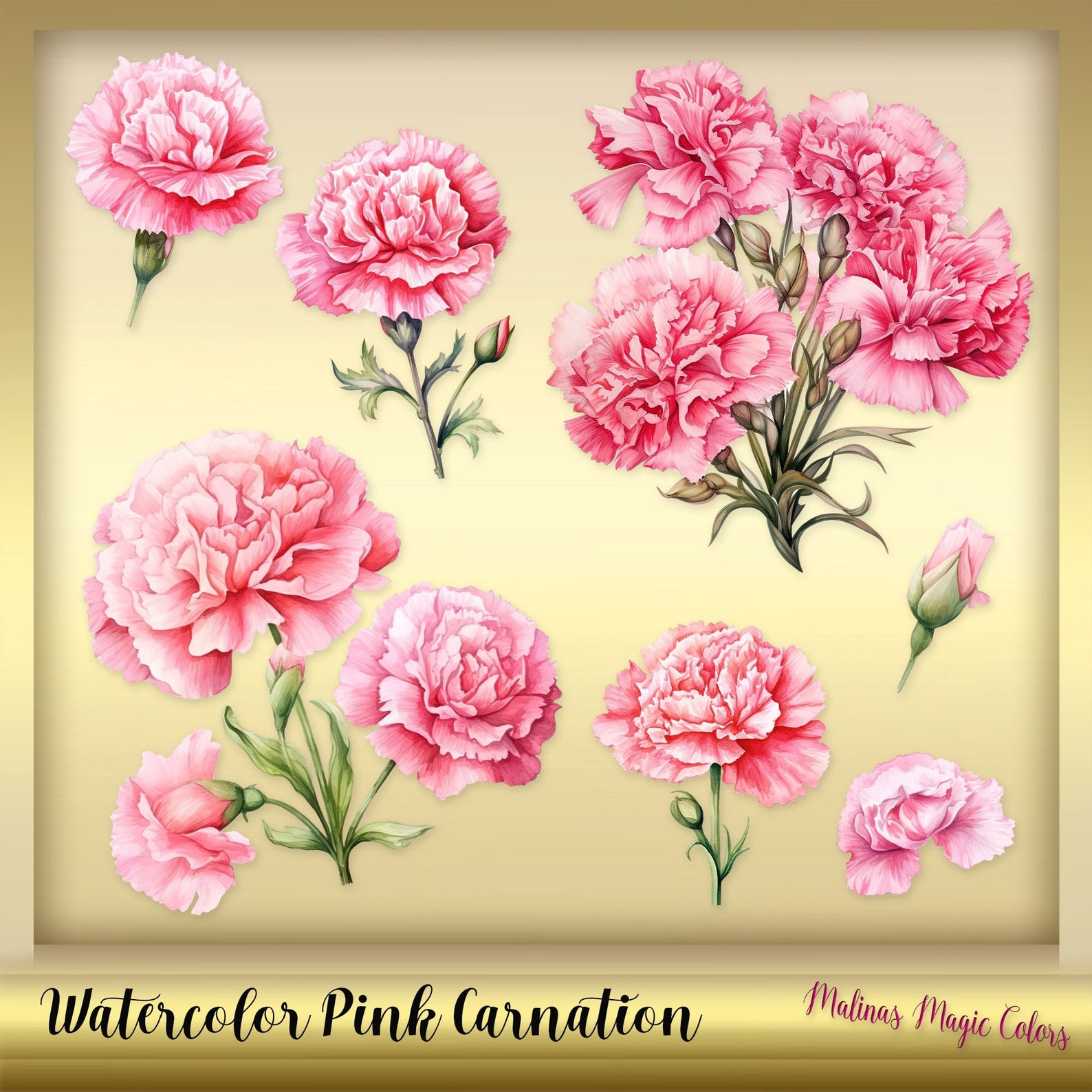 Watercolor Pink Carnation Clipart - Carnation Flower Clipart - Mothers ...