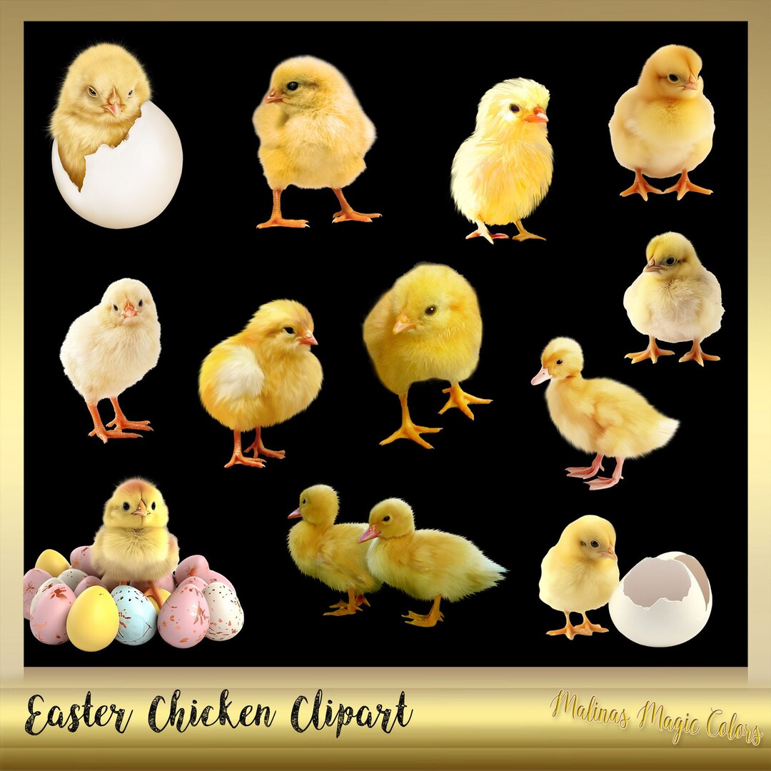 Easter Chicken Clipart - Cute Easter Chick - Easter Clipart - Instant ...