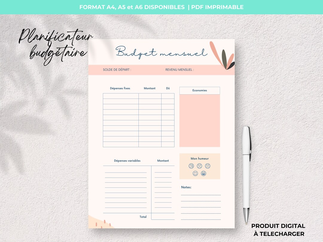 Budget Planner | French Budget Planner | Planner in French | French ...
