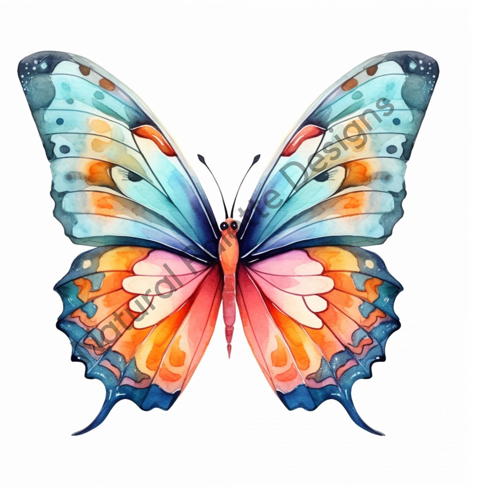 Butterfly Watercolor Clip Art 25 Png Files. Transparent - Etsy