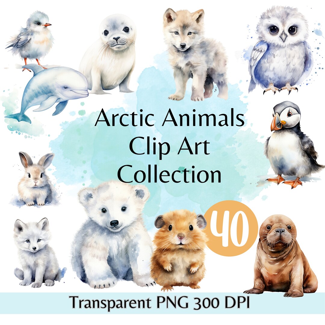 Arctic Animals Watercolor Clip Art Set Perfect for Cards & Decor, High ...
