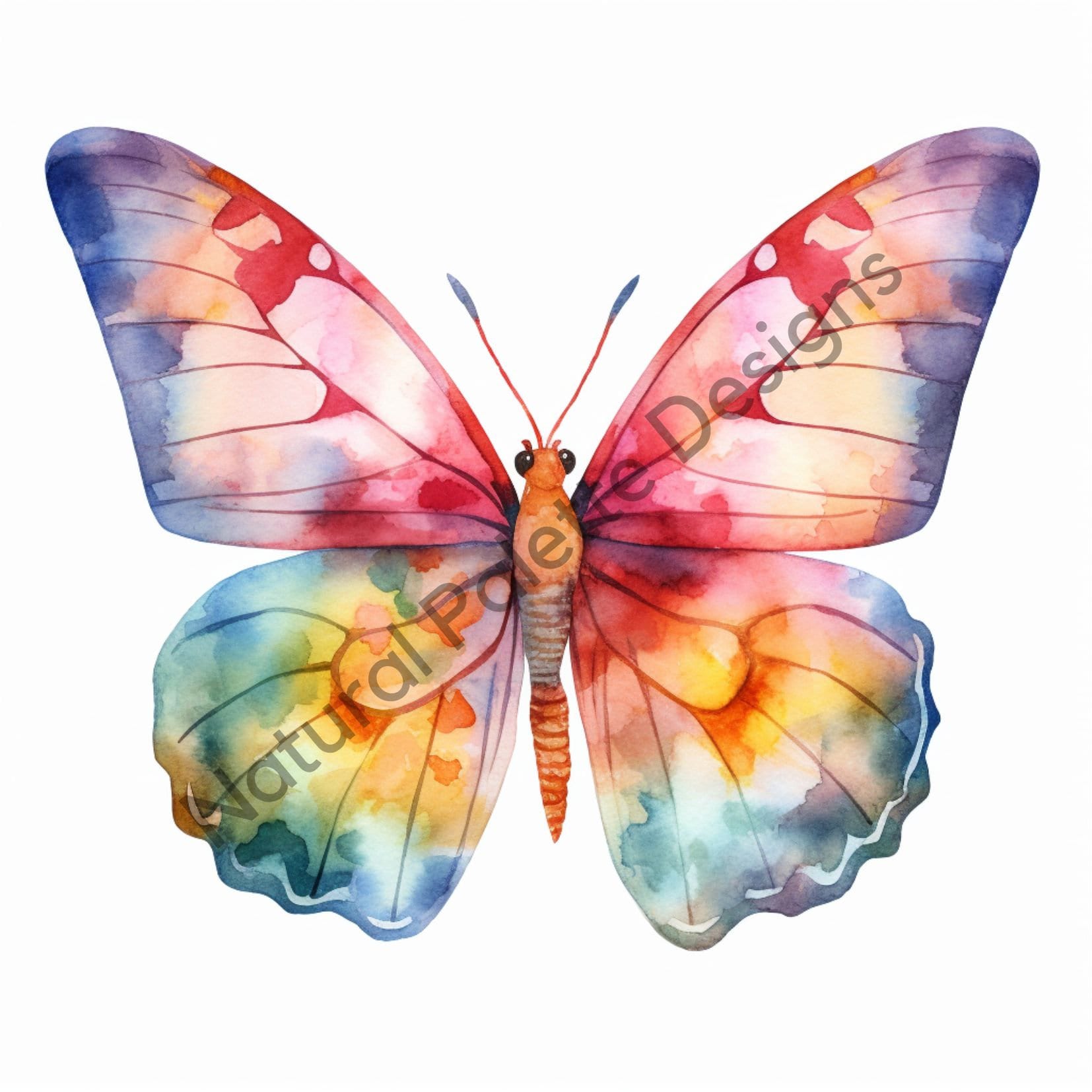 Butterfly Watercolor Clip Art 25 Png Files. Transparent - Etsy