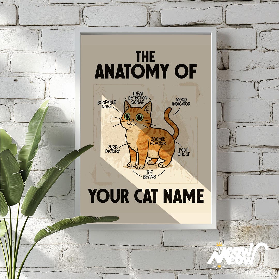 Custom Cat Anatomy Poster, Funny Personalized Cat Wall Art, Cat Breed ...
