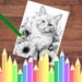 25 Adorable Flower Cat Coloring Book, Printable Adult and Kids Coloring ...