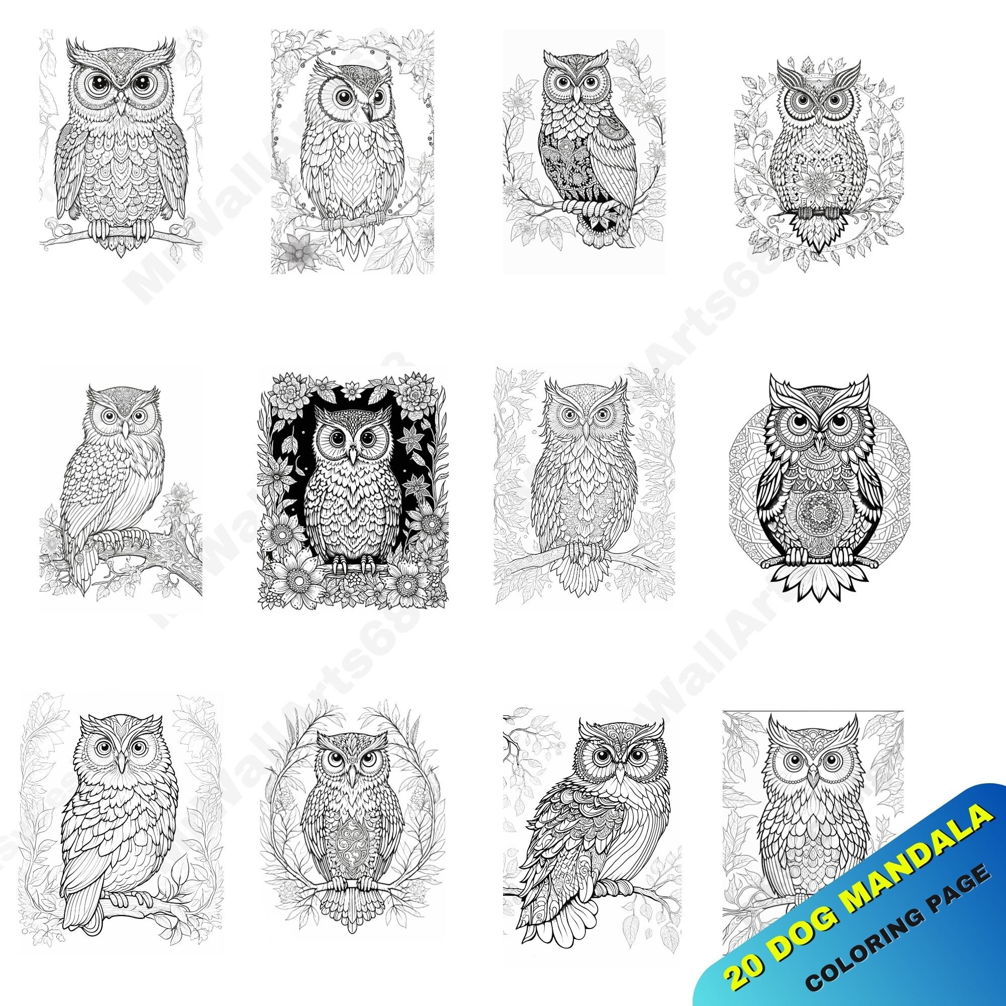 20 Owl Mandala Coloring Pages Adults Coloring Pages Simple - Etsy