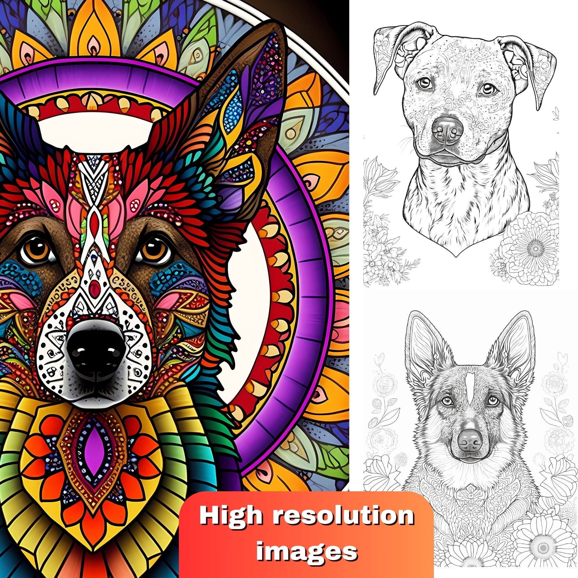 20 Dog Mandala Coloring Pages Adults Coloring Pages Simple - Etsy