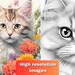 25 Adorable Flower Cat Coloring Book, Printable Adult and Kids Coloring ...