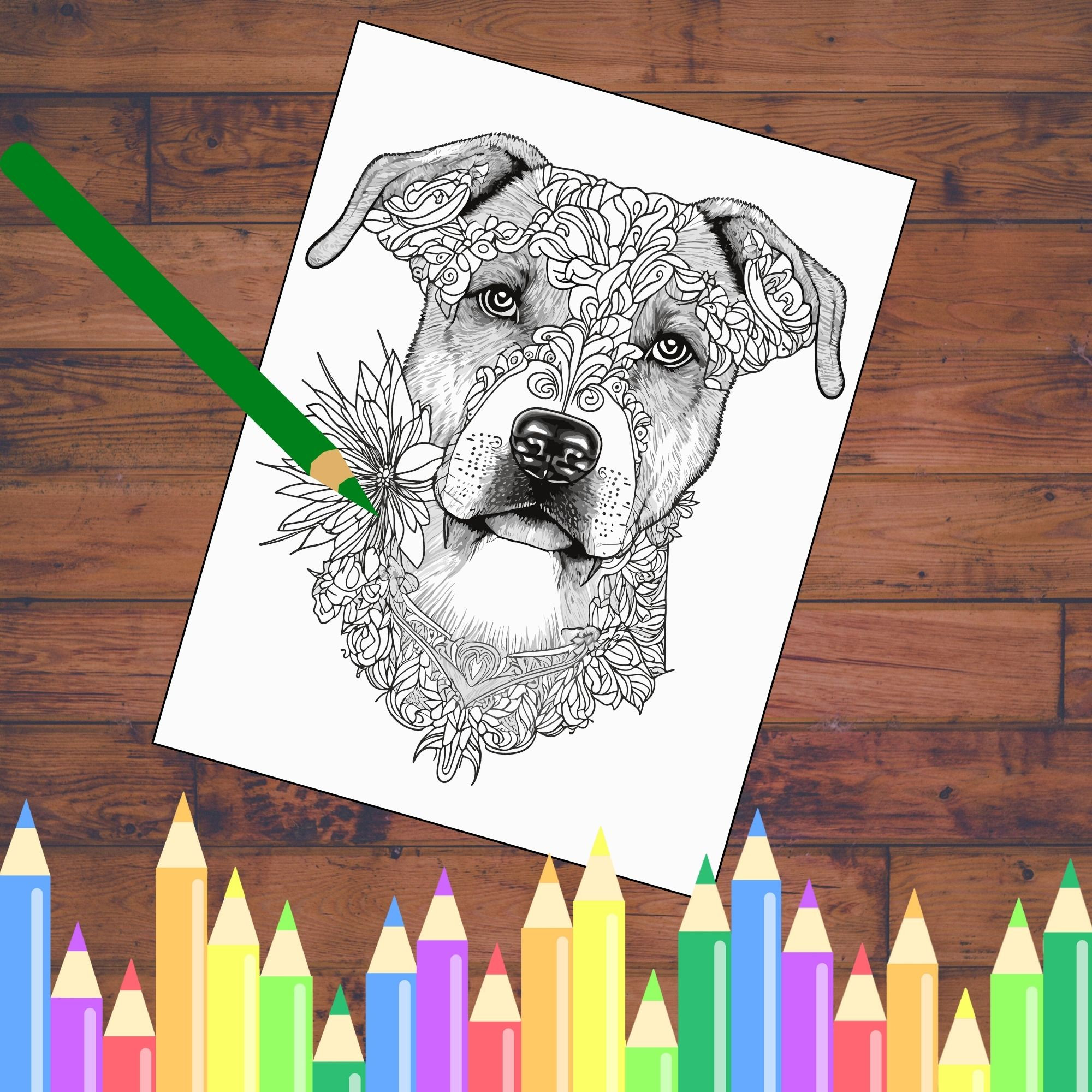 20 Dog Mandala Coloring Pages Adults Coloring Pages Simple - Etsy