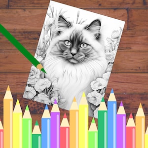 25 Adorable Flower Cat Coloring Book, Printable Adult and Kids Coloring ...