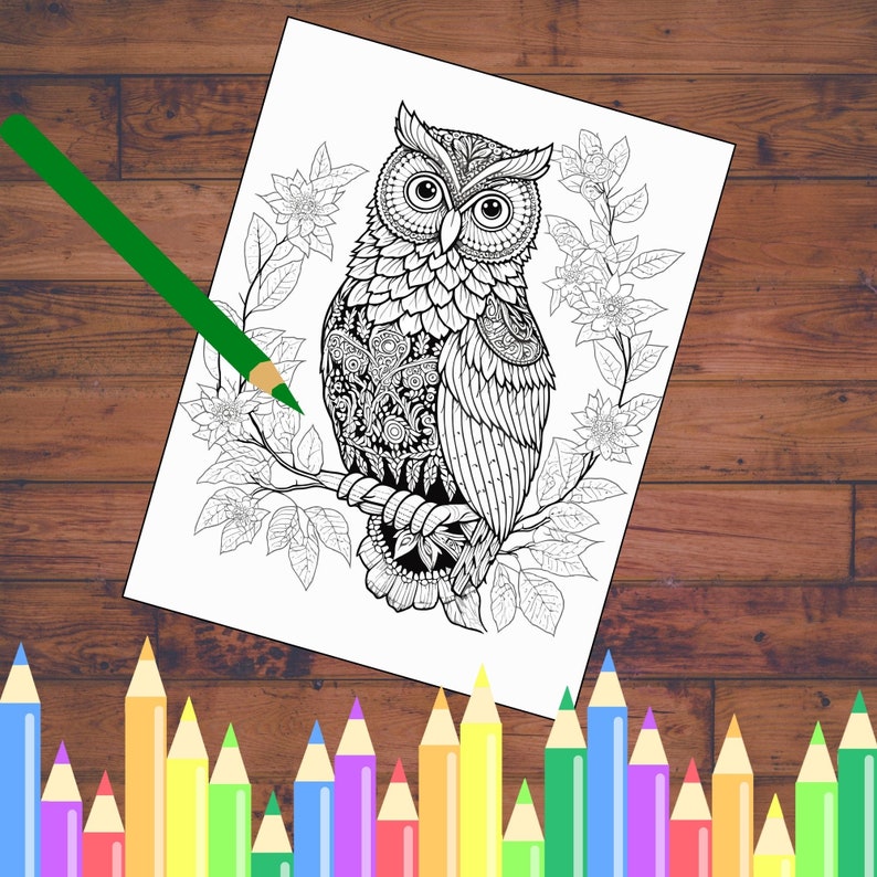 20 Owl Mandala Coloring Pages Adults Coloring Pages Simple - Etsy