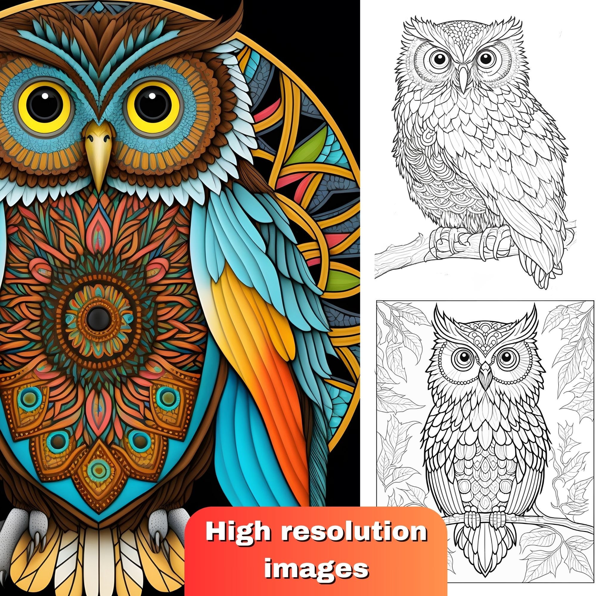 20 Owl Mandala Coloring Pages Adults Coloring Pages Simple - Etsy