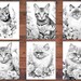 25 Adorable Flower Cat Coloring Book, Printable Adult and Kids Coloring ...