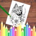 25 Adorable Flower Cat Coloring Book, Printable Adult and Kids Coloring ...