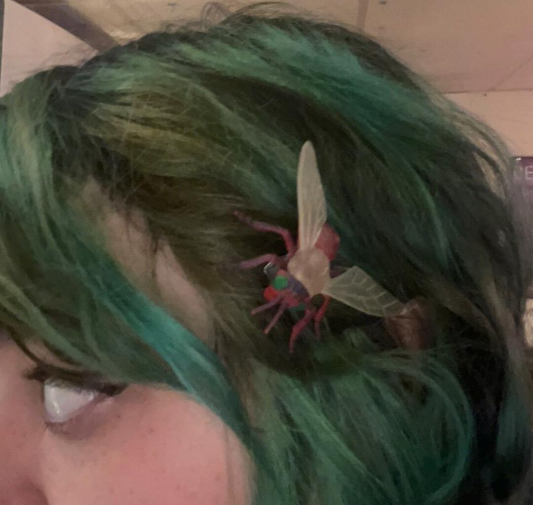 Insect/bug Weird Creepy Hair Clips Made From Used Toys Handmade ...