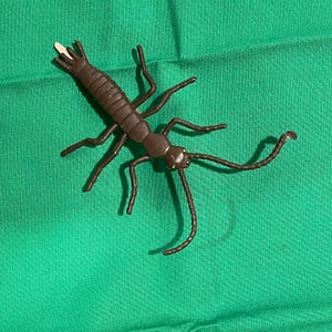 Insect/bug Weird Creepy Hair Clips Made From Used Toys Handmade ...