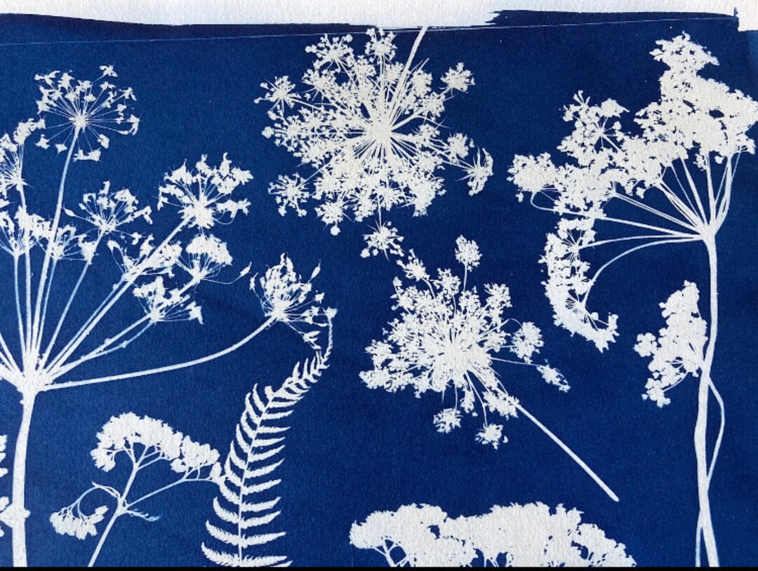 Cyanotype A4 Country Style - Etsy