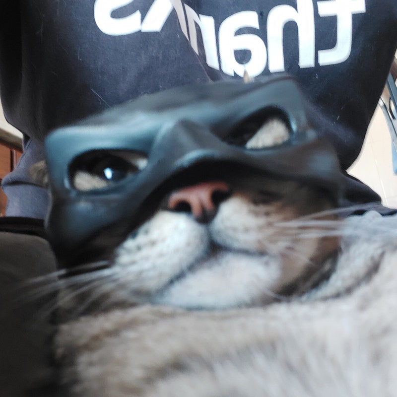 Cat Mask - Etsy