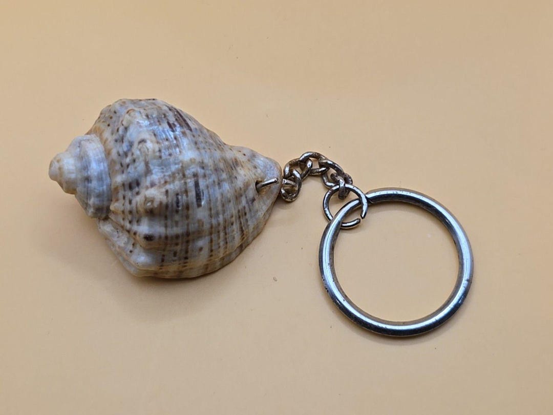Keyring Key Ring - Vintage Beautiful Sea Shell - Etsy