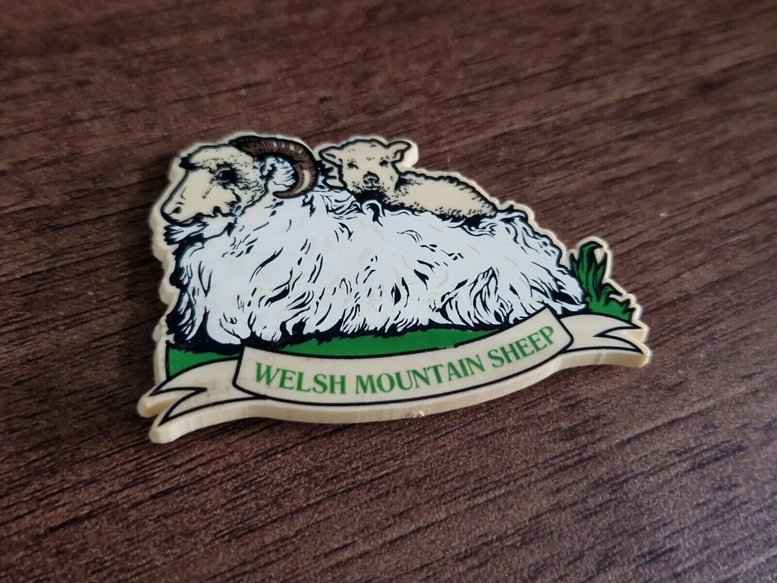Fridge Magnet Welsh Mountain Sheep - Etsy