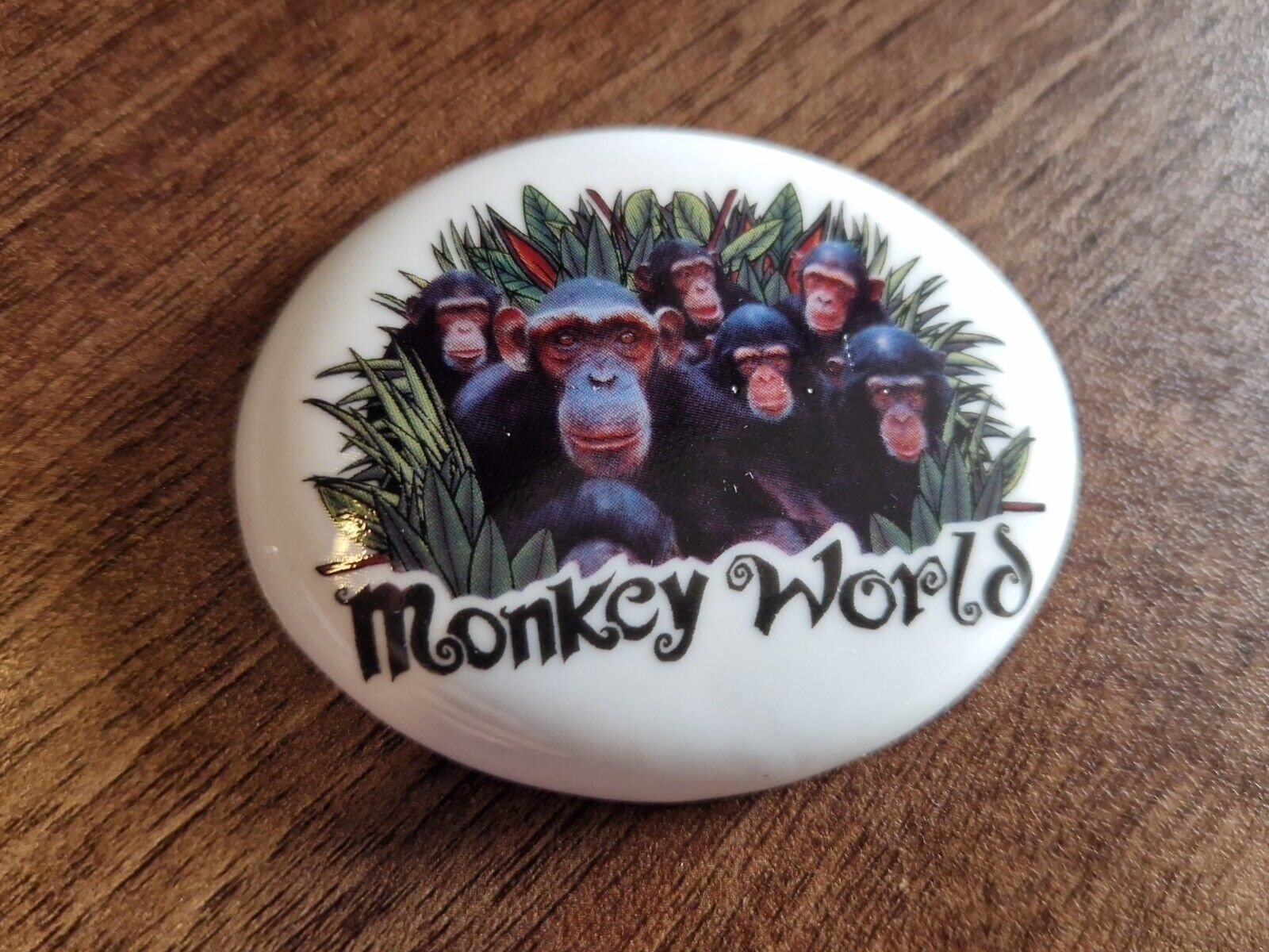 Monkey World Fridge Magnet Monkeys - Etsy
