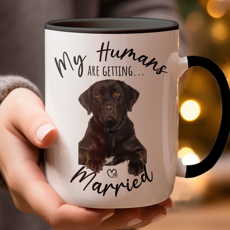 Cat Mug - Etsy