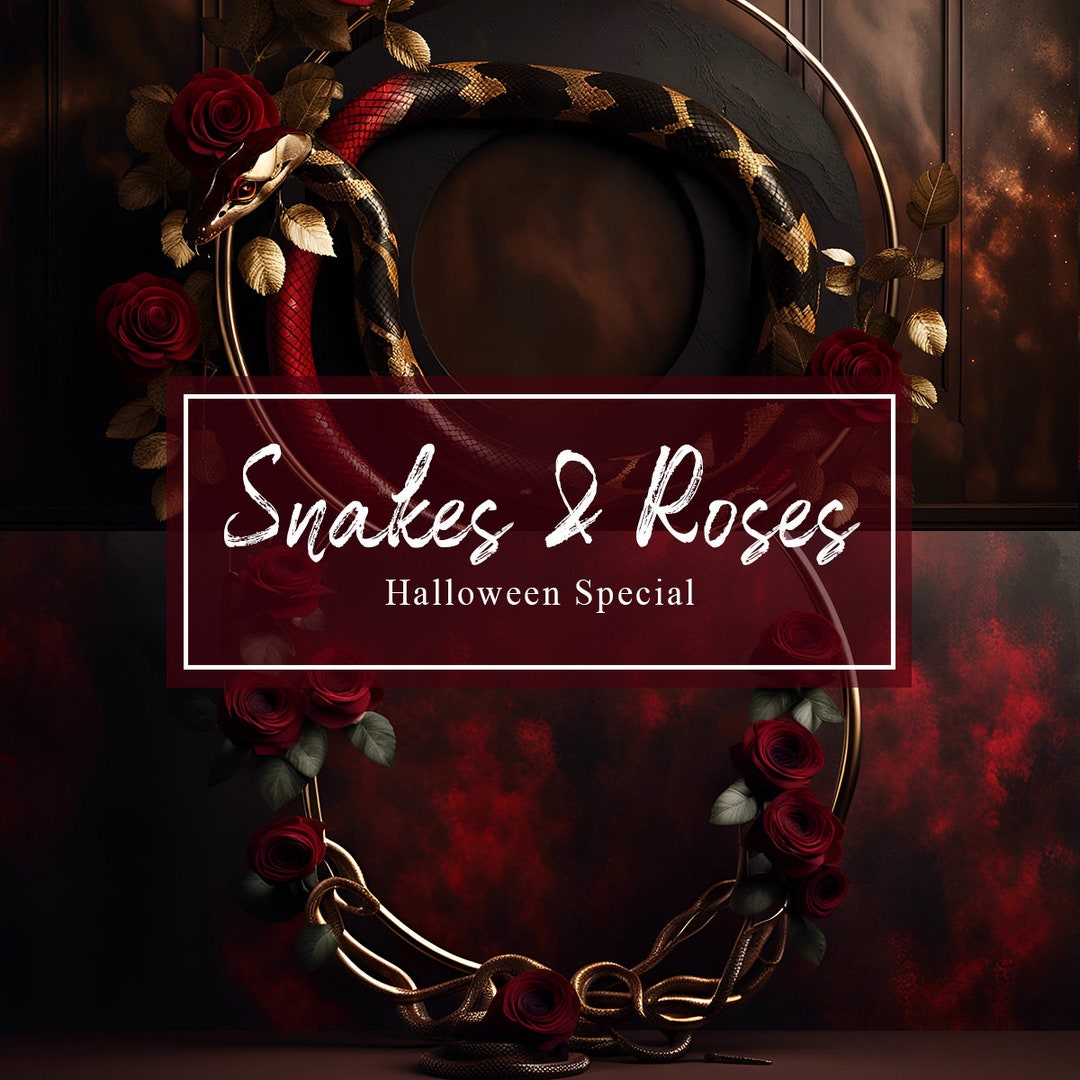 Backdrop Boudoir Photoshoot Portrait Art Gothic Scene - Etsy