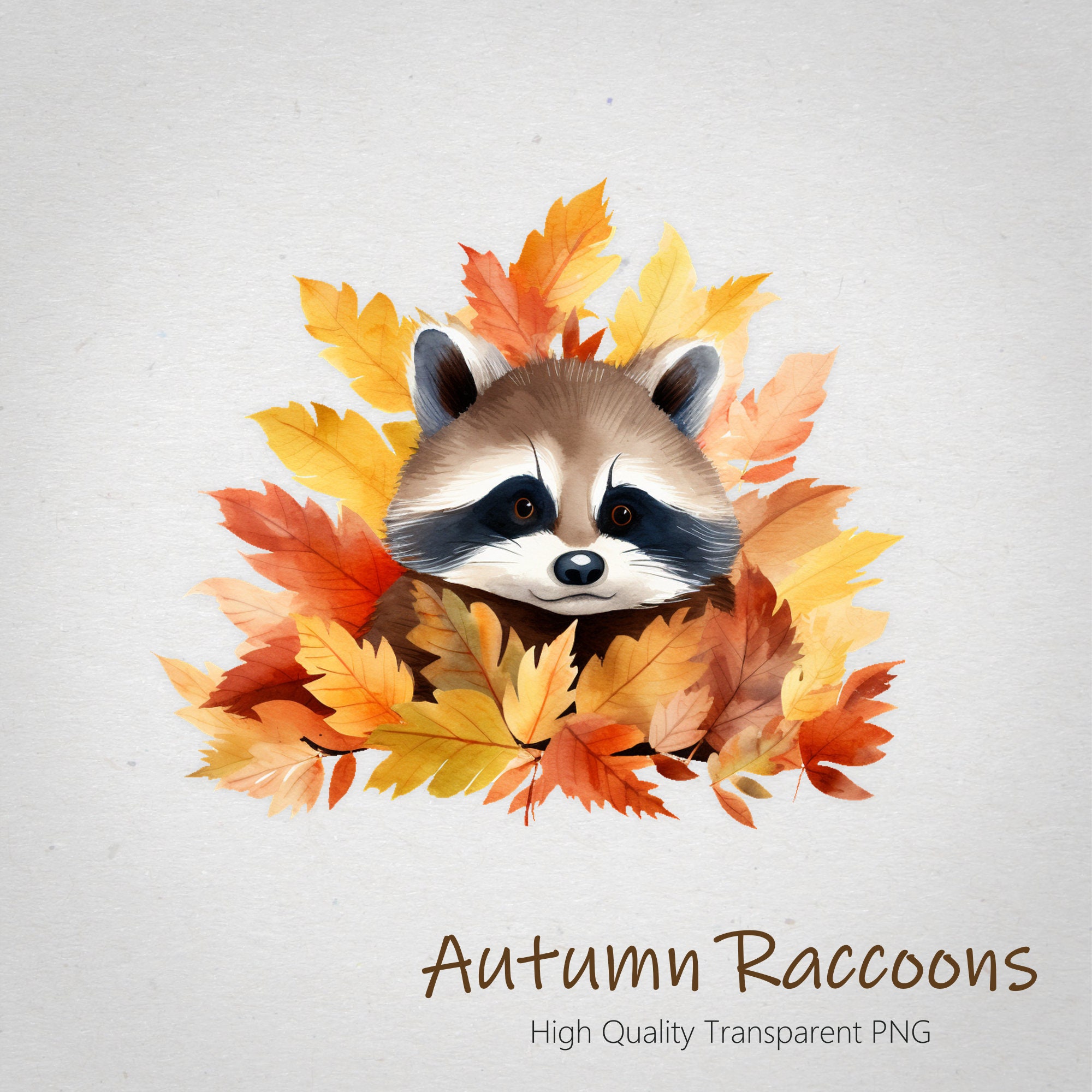 13 Autumn Raccoons Clipart Bundle Autumn Raccoons - Etsy