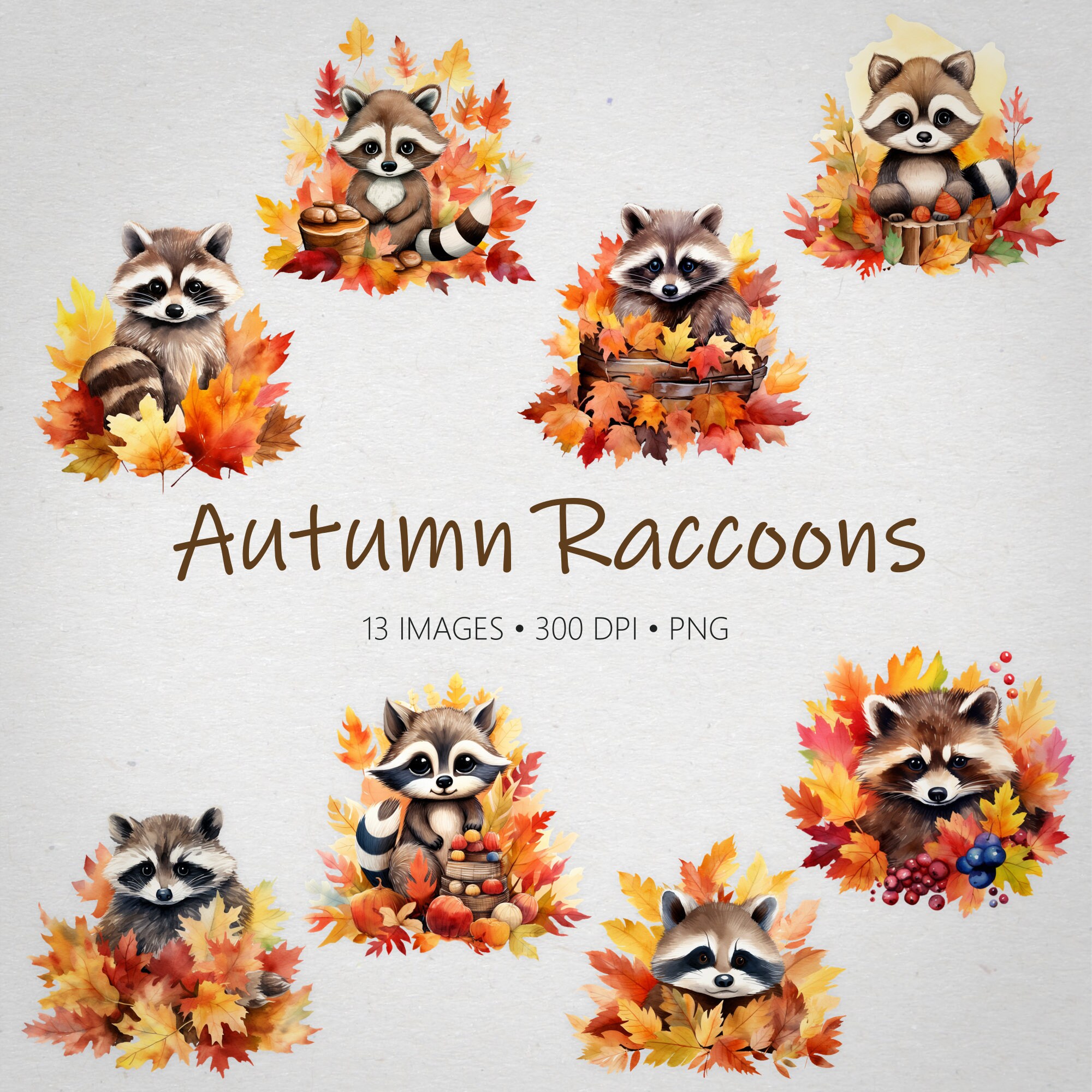 13 Autumn Raccoons Clipart Bundle Autumn Raccoons - Etsy