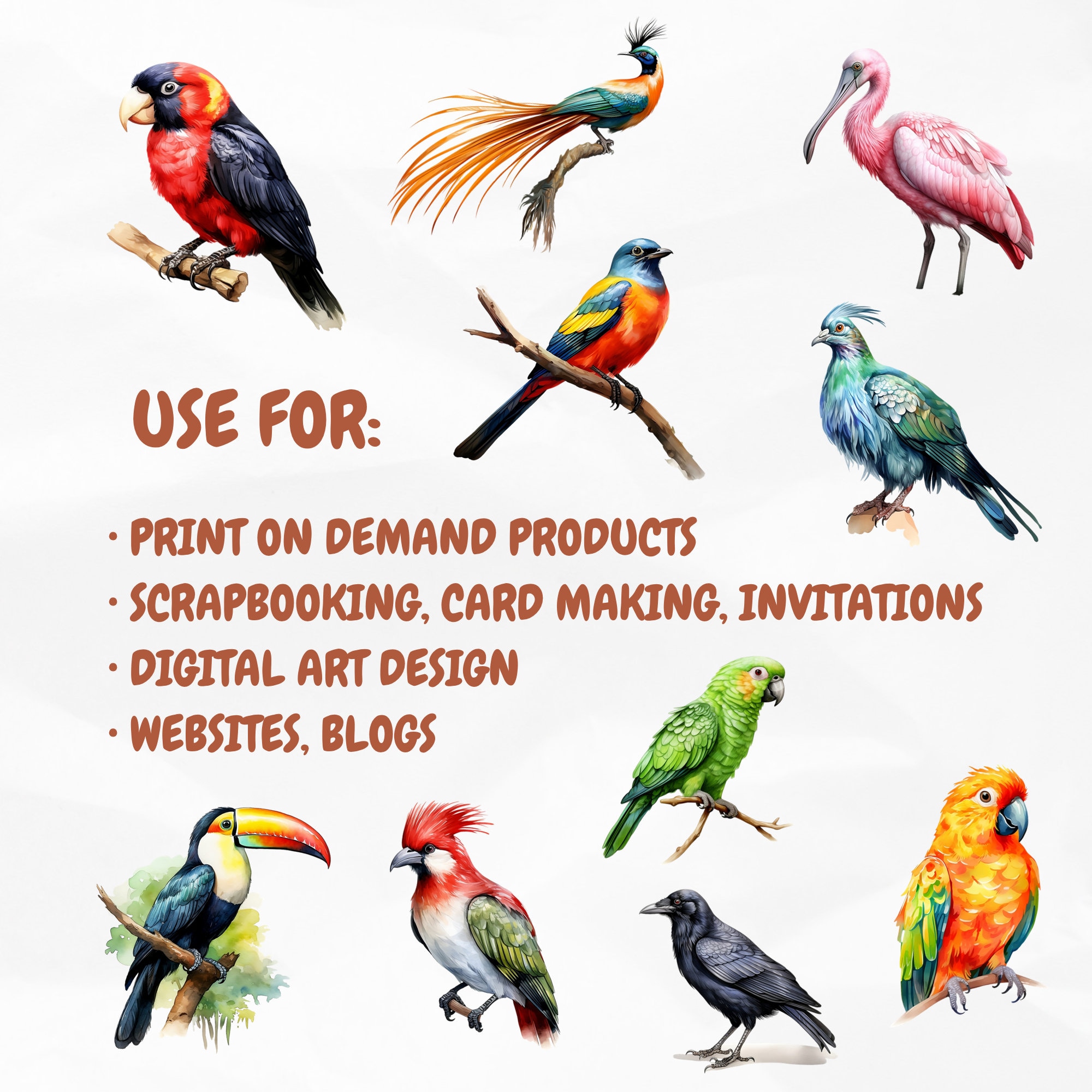Imágenes prediseñadas de aves tropicales de acuarela imágenes - Etsy México