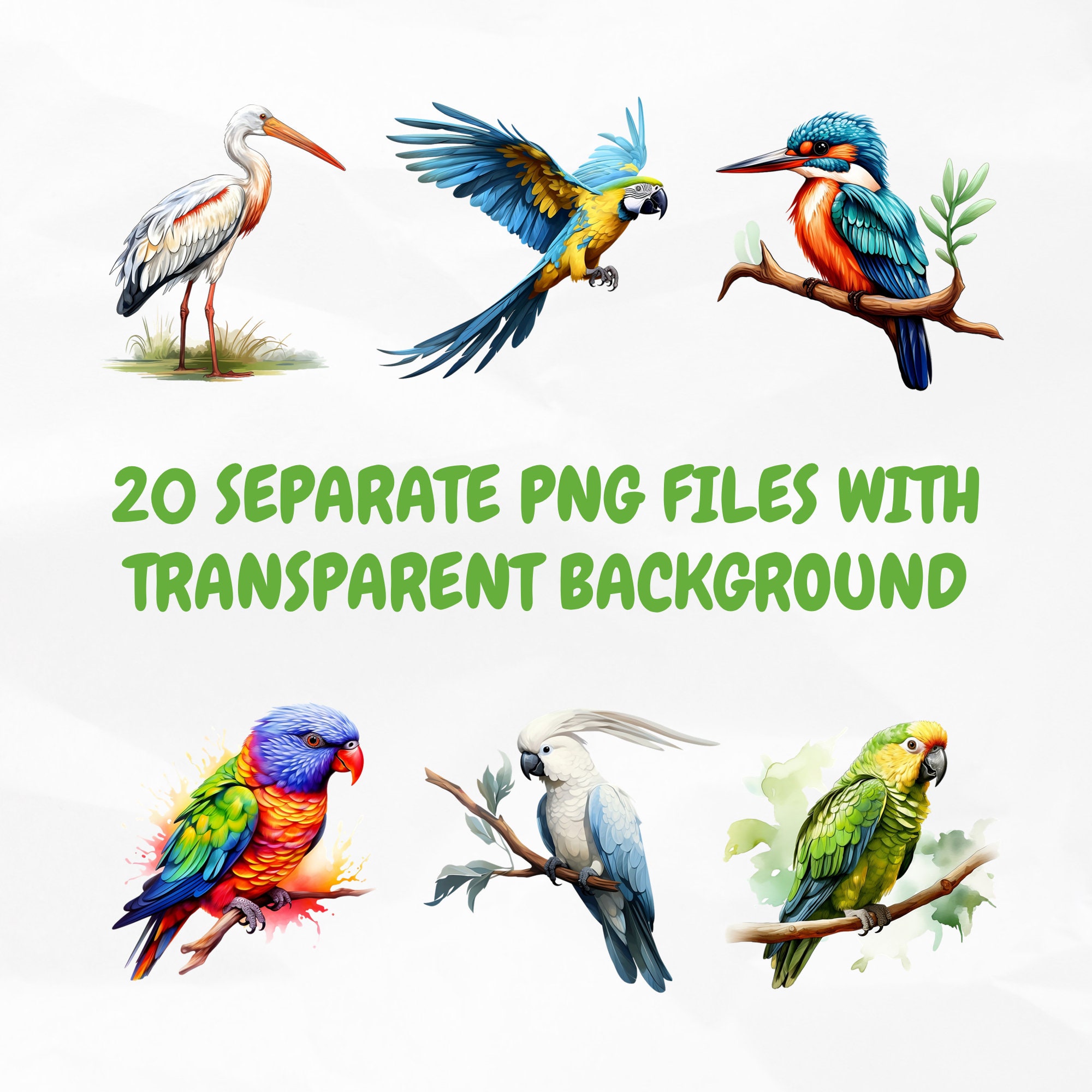 Imágenes prediseñadas de aves tropicales de acuarela imágenes - Etsy México
