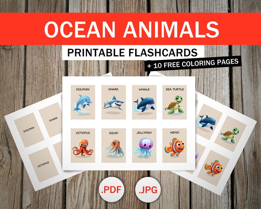 Ocean Animals Flashcards for Kids Educational Cards - Etsy