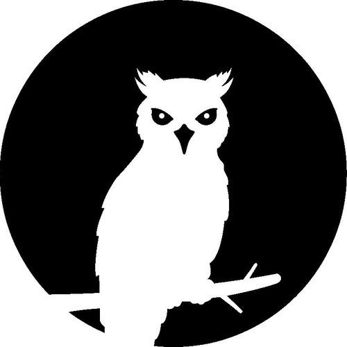 NightOwlReconStore - Etsy