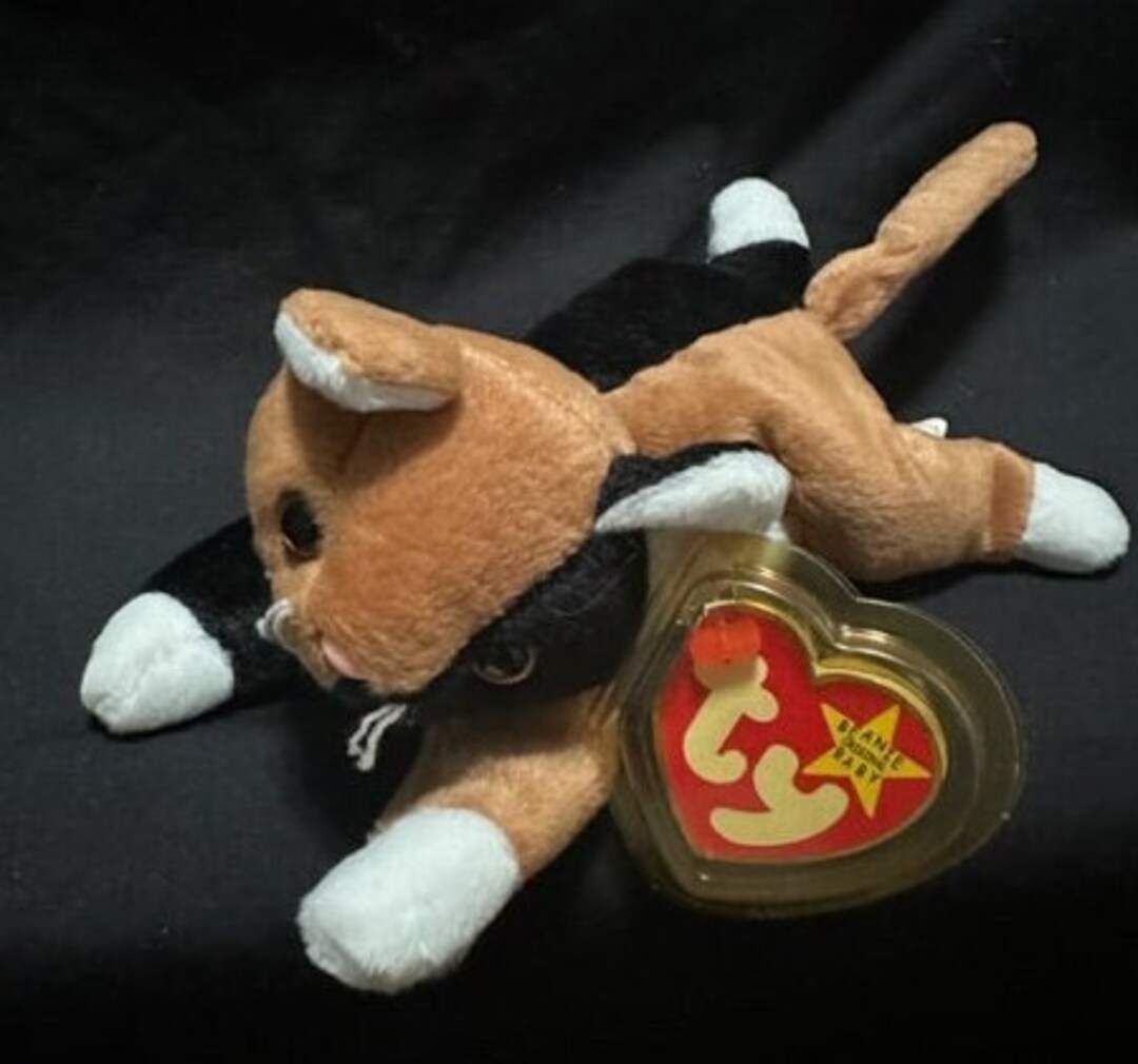 Chip the Cat Beanie Baby - Etsy