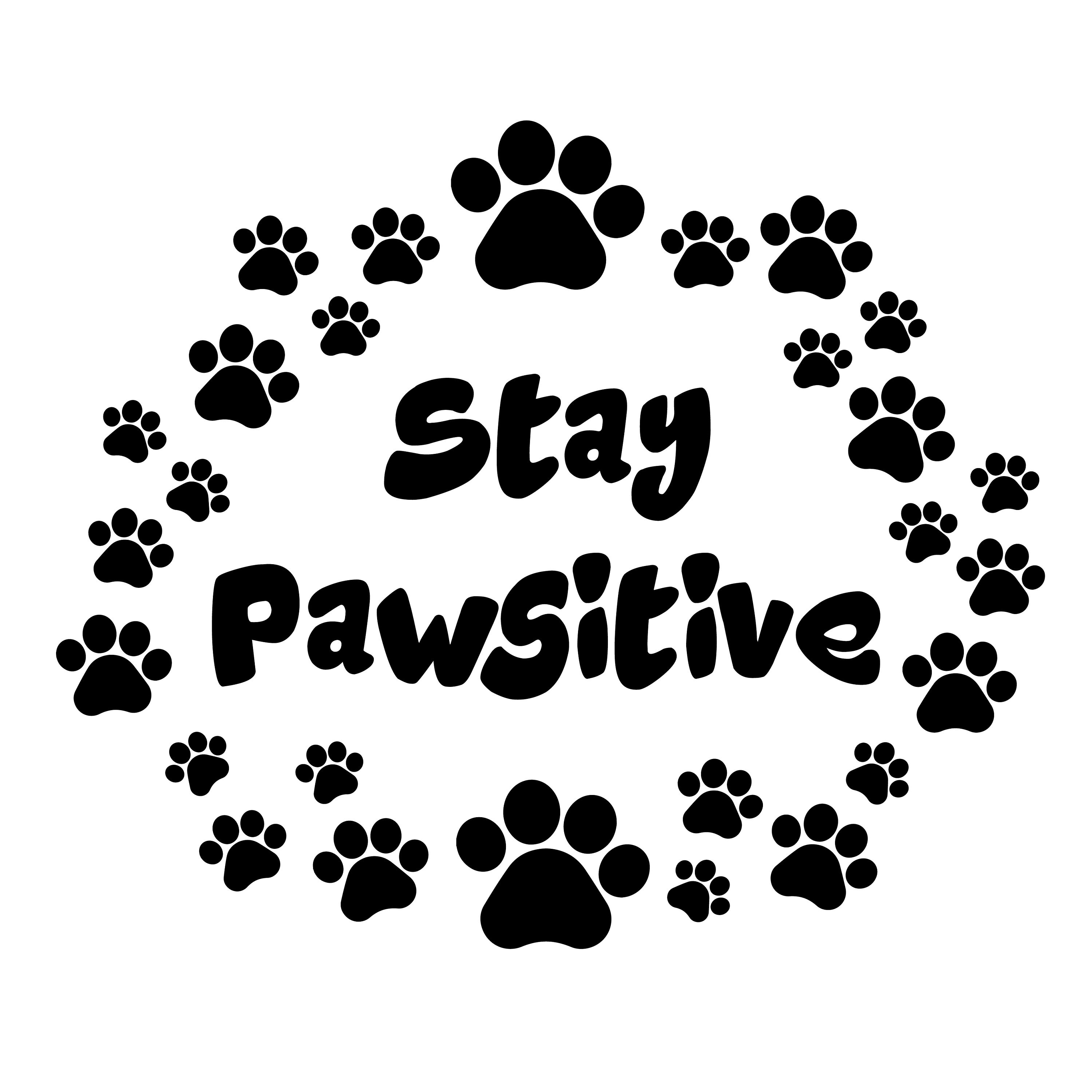 Stay Pawsitive SVG , Paw Cut File , Clip Art - Instant Digital Download ...
