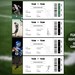 Editable Sports Ticket Template, DIY Sporting Ticket, Custom Sports ...