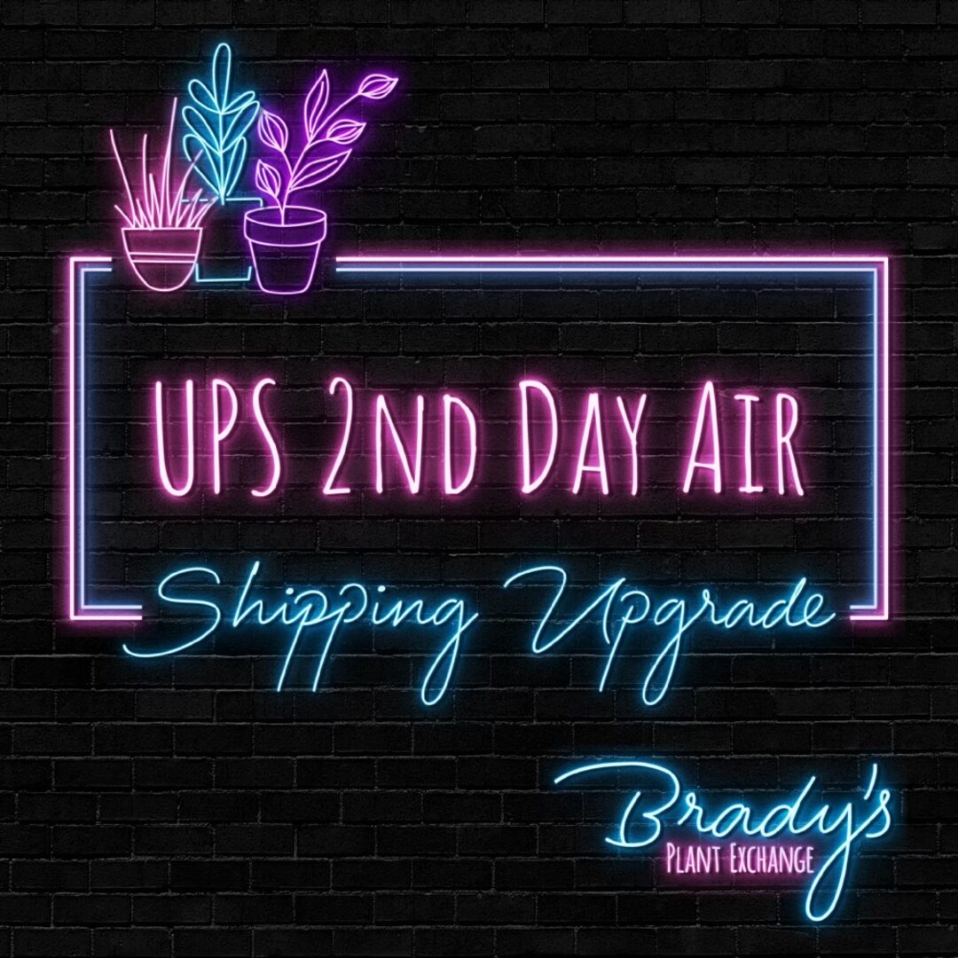 UPS 2nd Day Air Shipping Upgrade - Etsy
