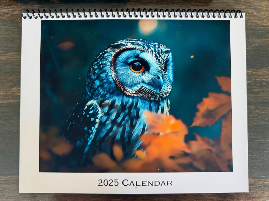 2025 Owl Wall Calendar, Includes US Holidays and Observances - Etsy
