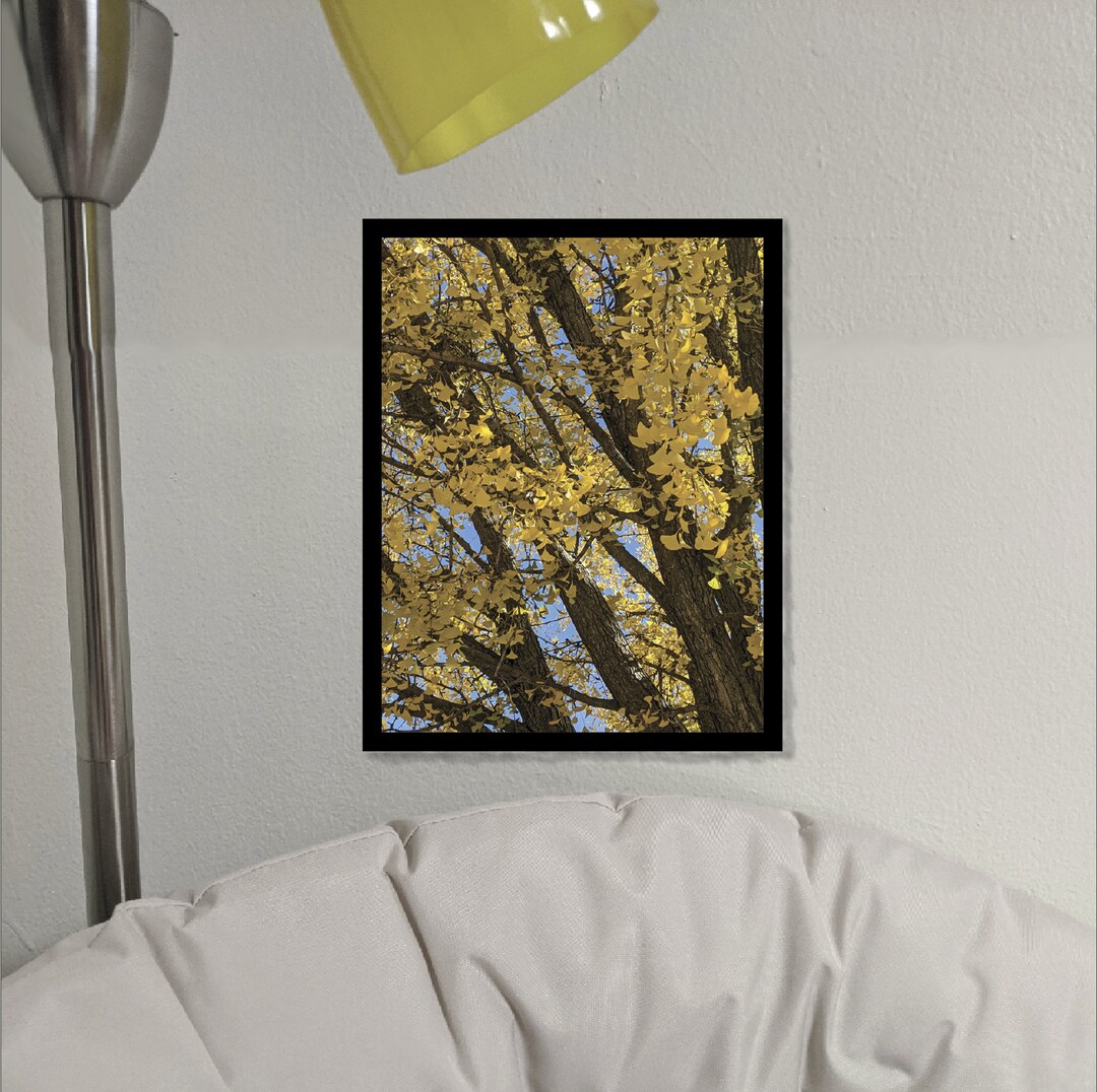 Yellow Tree Wall Art; Beautiful Nature Image - Etsy