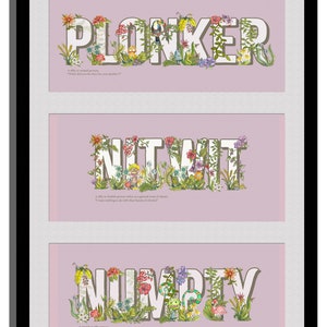 Insult Art Illustration / Set of Three / Plonker / Numpty / Nitwit - Etsy