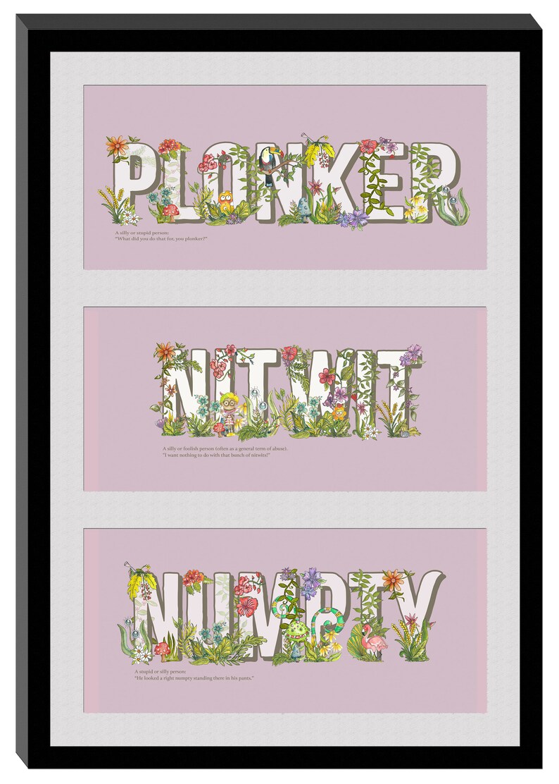 Insult Art Illustration / Set of Three / Plonker / Numpty / Nitwit - Etsy