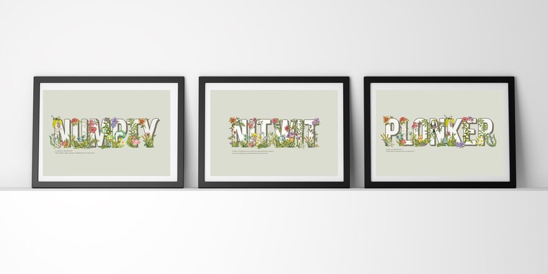 Insult Art Illustration / Set of Three / Plonker / Numpty / Nitwit - Etsy