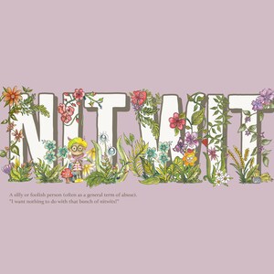 Insult Art Illustration / Set of Three / Plonker / Numpty / Nitwit - Etsy