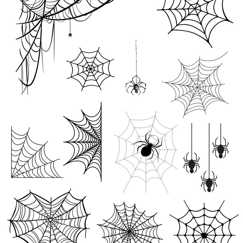 Spider Web Svg - Etsy
