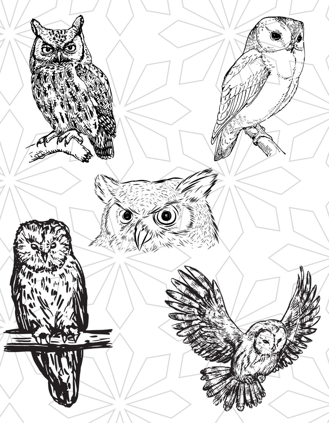 Eule Silhouette SVG,Eule eps,Vogel SVG,Eule Clipart svg,Tier svg,Vogel ...