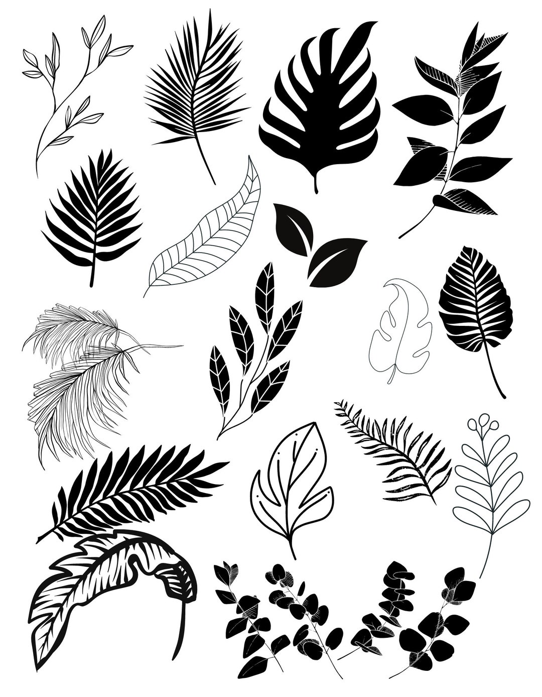 Leaves SVG Set,botanical Illustration,leaf Graphics,plants Clipart,new ...