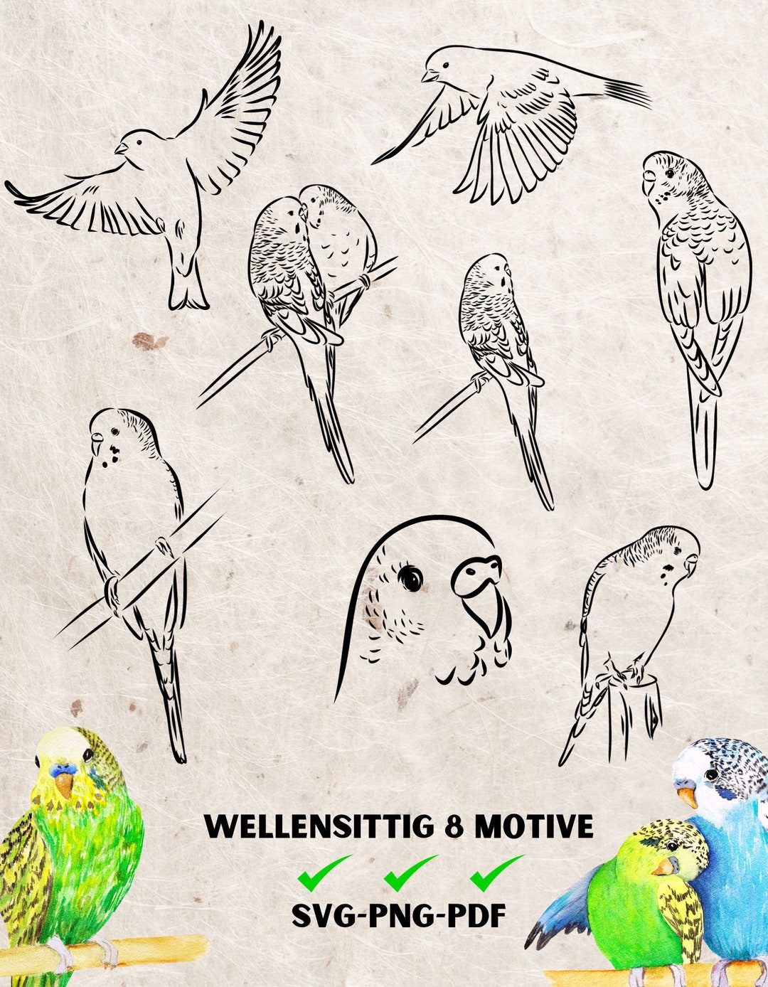 Budgie Svg,budgie Pdf,budgie Png,budgie Cutting File,colorful Bird ...