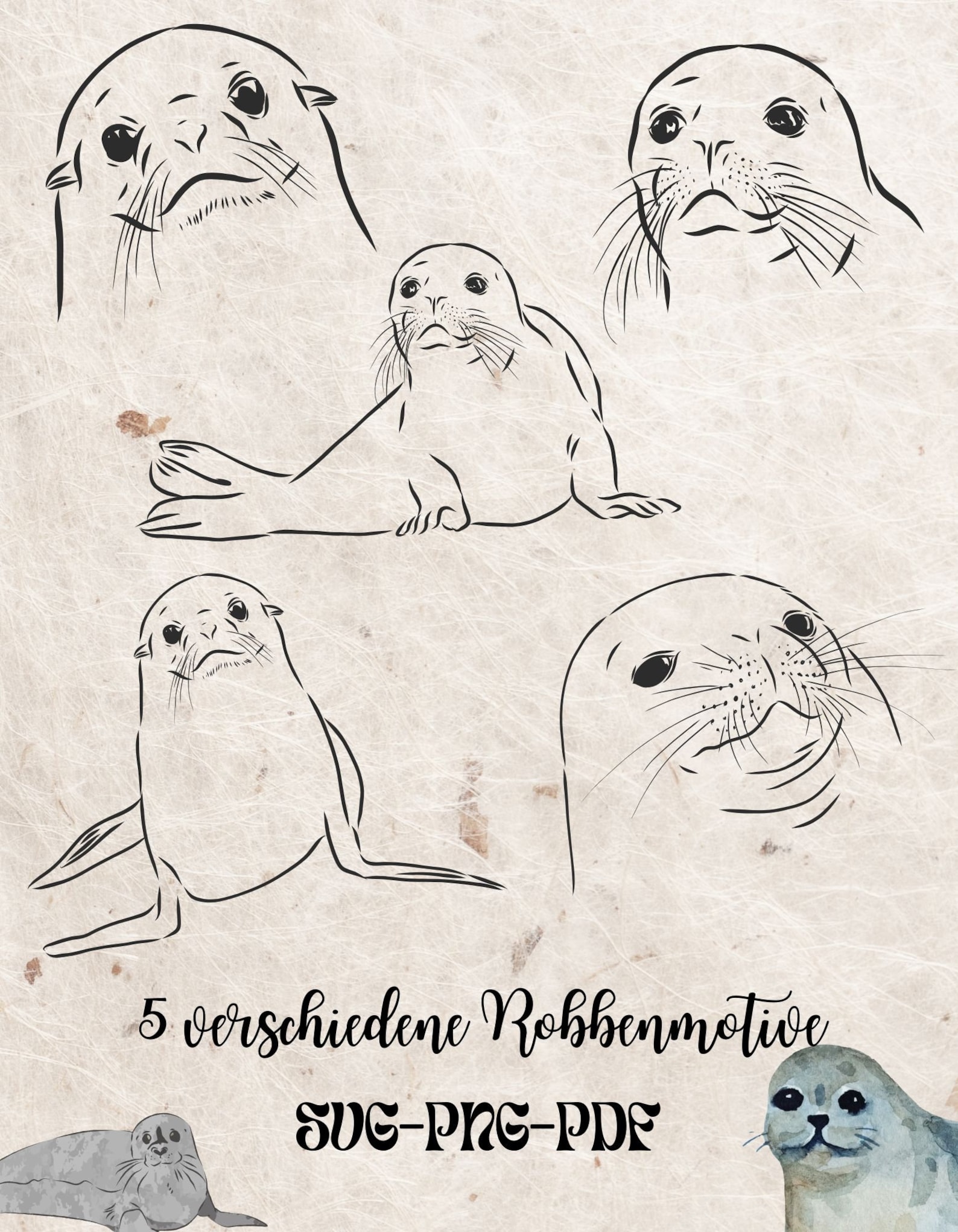 Seal Outline Svg,sea Lion Svg,seal Clipart,seal Files for Cricut,seal ...