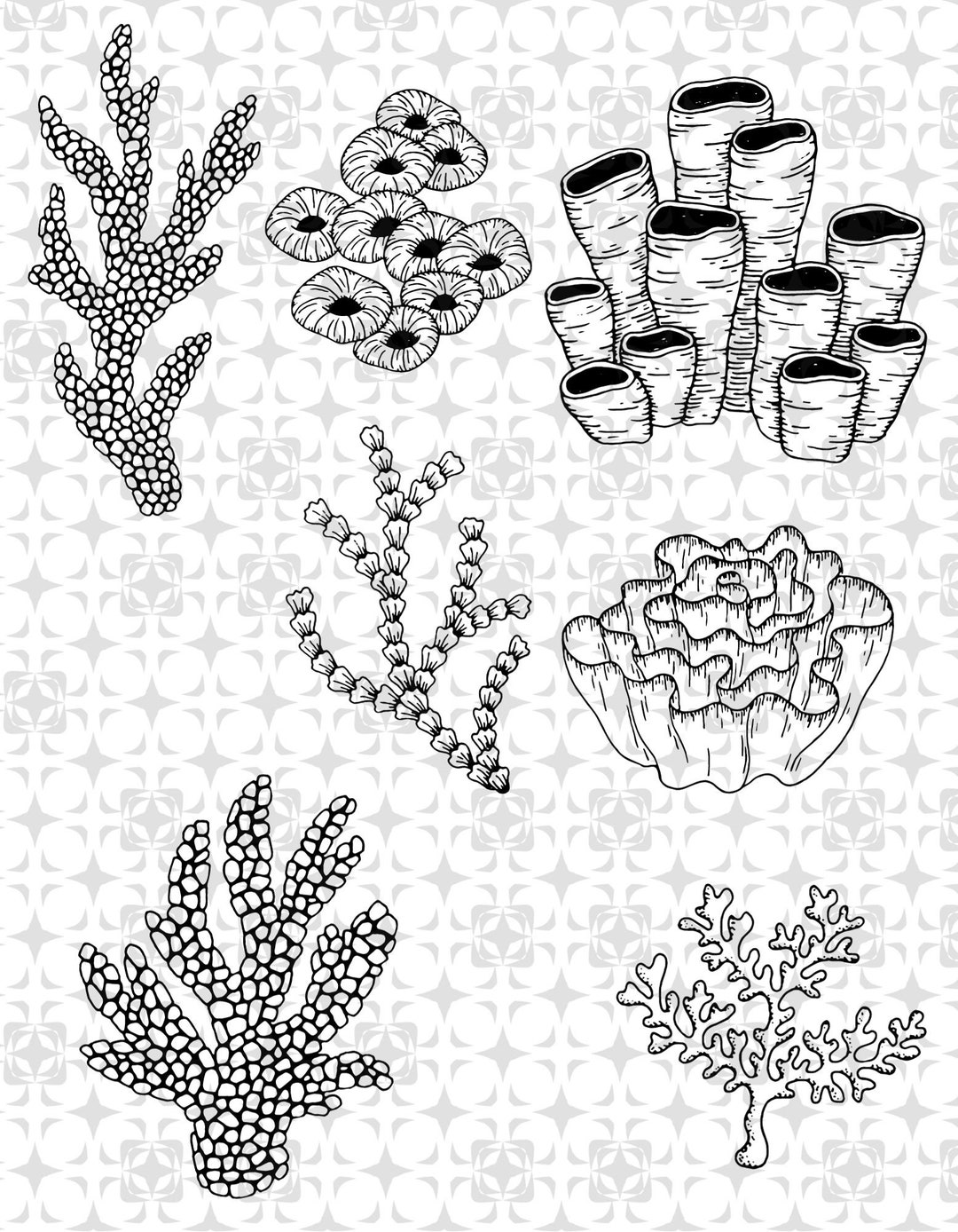Coral SVG Bundle,coral SVG Bundle,coral Clipart,coral SVG for Cricut ...