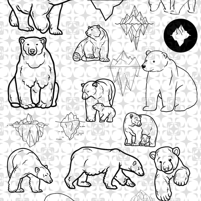 Bear Face Svg - Etsy