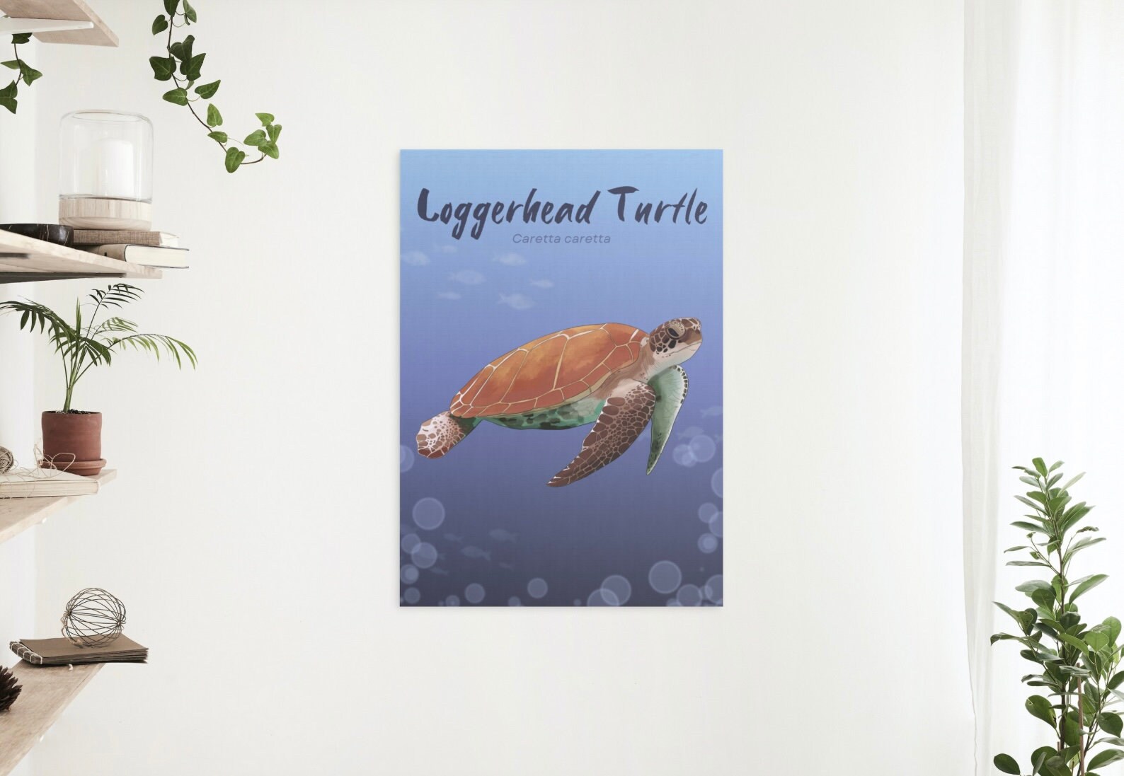Hand-drawn Loggerhead Sea Turtle Poster - Etsy